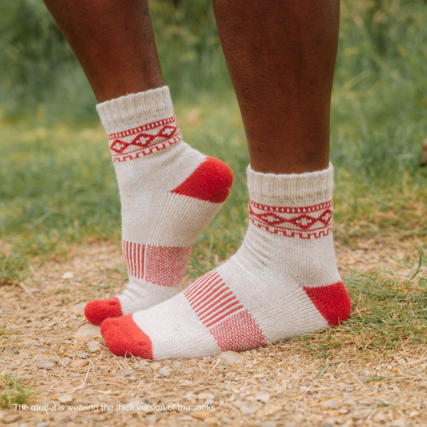 Adventurer Low-Cut (2 pairs) - Nordic Socks US